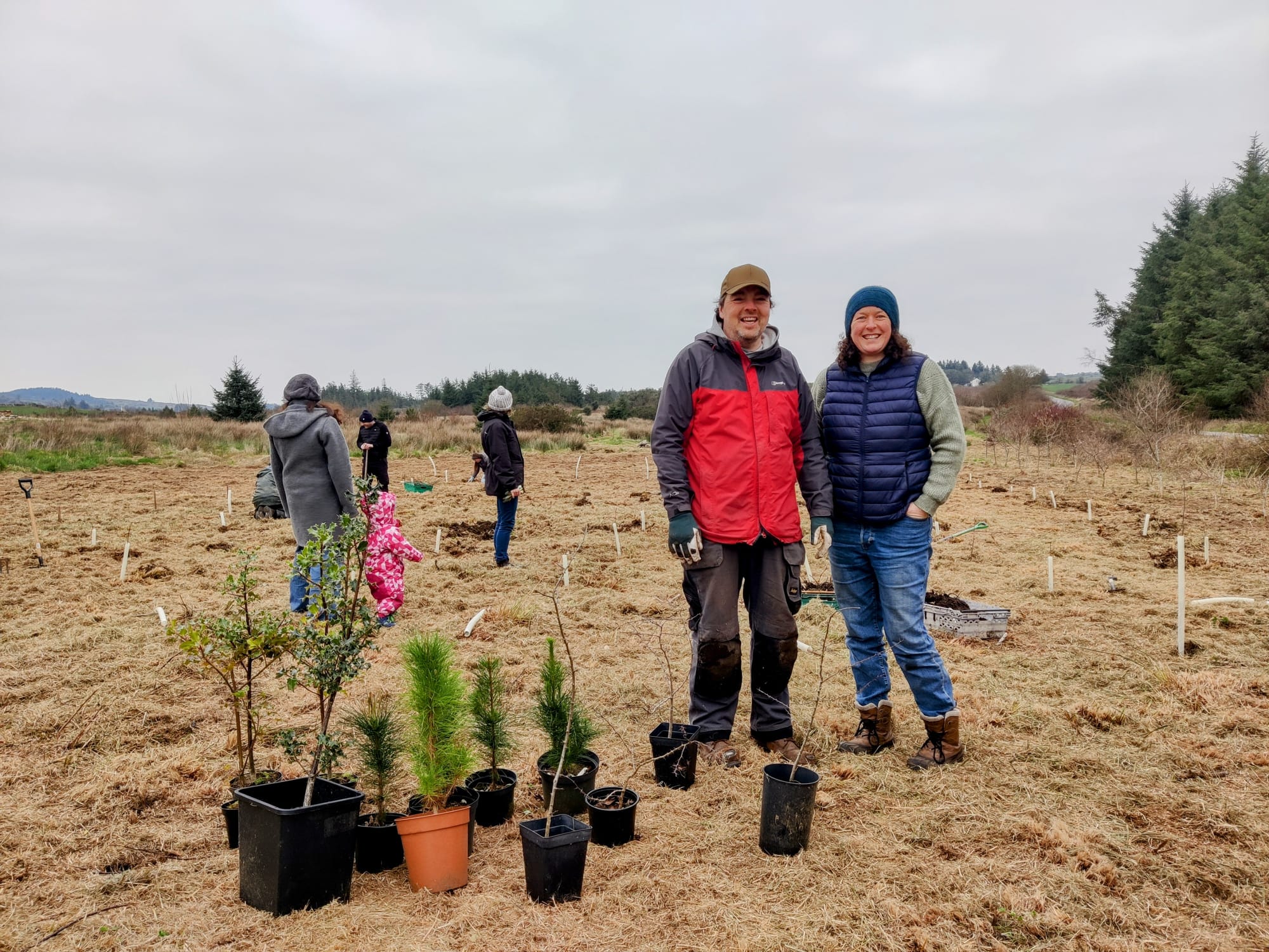 Planting trees, not warehouses, in Tullig - Save Tullig